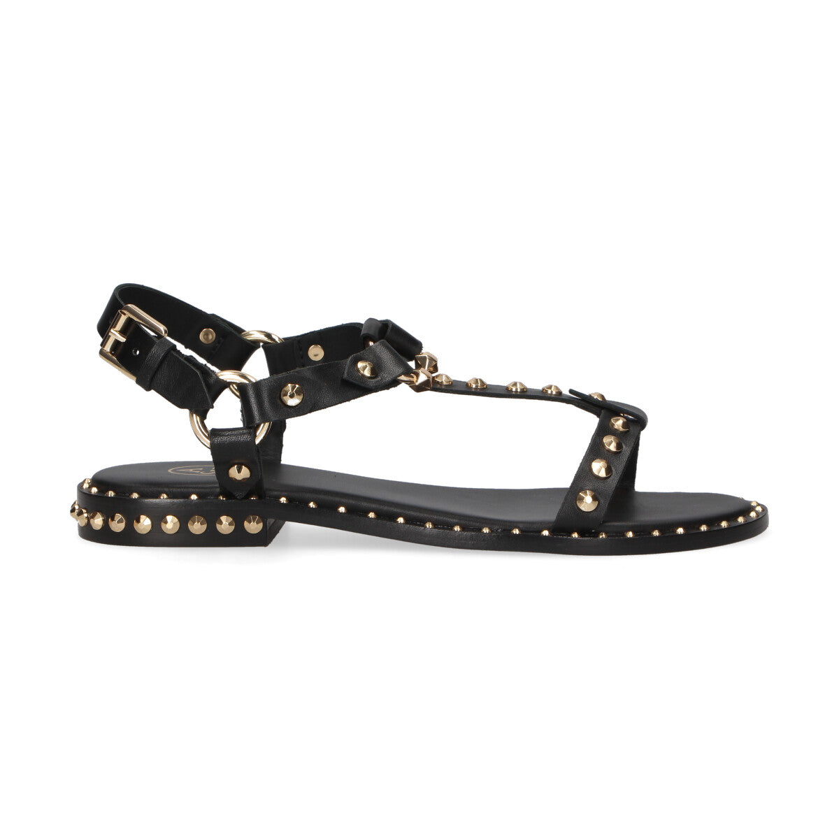 Ash sandalo Patsy borchie pelle nera